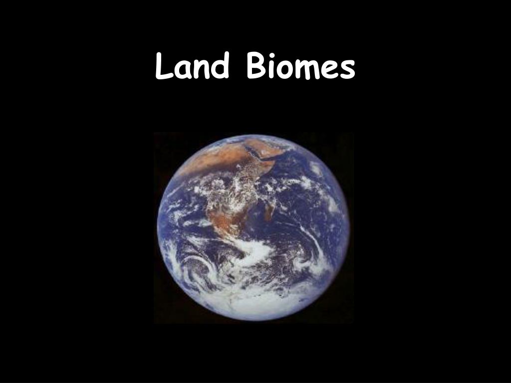 PPT - Land Biomes PowerPoint Presentation, free download - ID:4330567