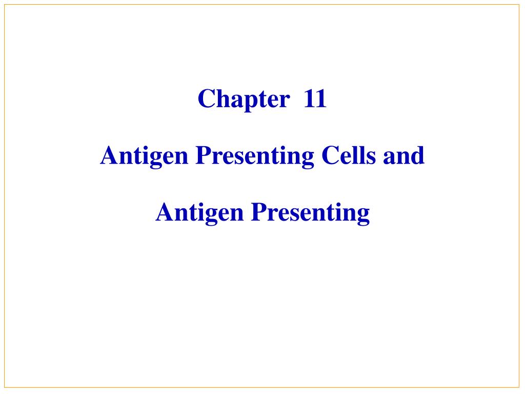 PPT - Chapter 11 Antigen Presenting Cells and Antigen Presenting ...