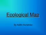 PPT - Assessment Task One: Ecological Map PowerPoint Presentation, free ...