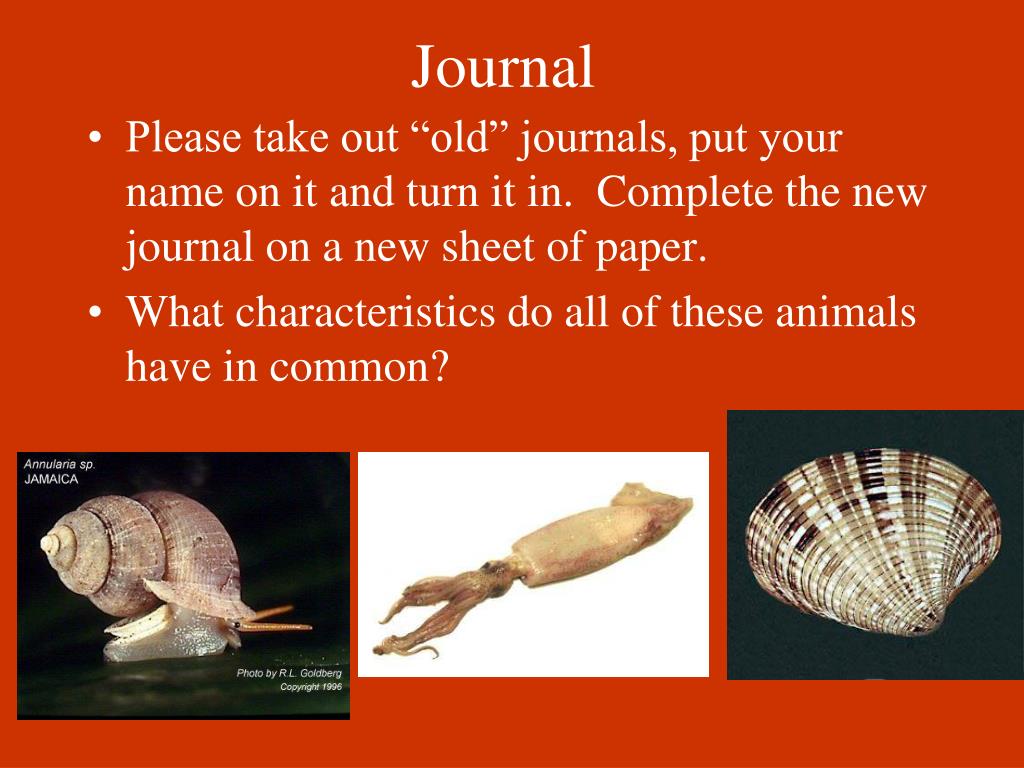 PPT - Journal PowerPoint Presentation, free download - ID:4337528