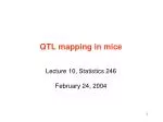 PPT - QTL Mapping PowerPoint Presentation, free download - ID:1917240