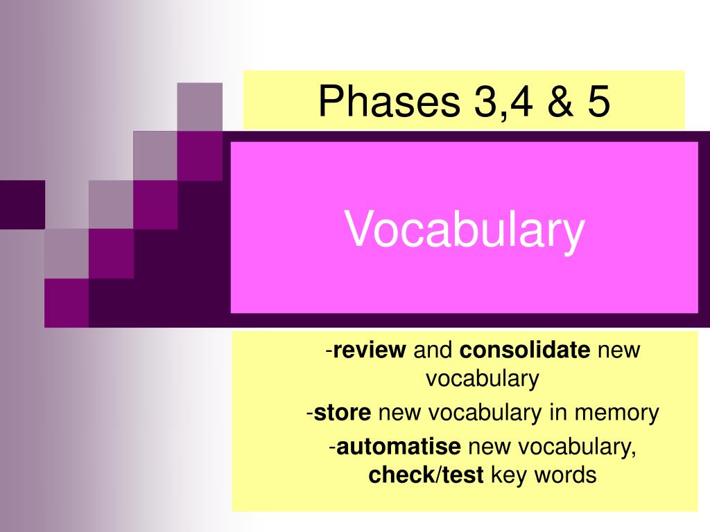PPT - Vocabulary PowerPoint Presentation, free download - ID:4341902