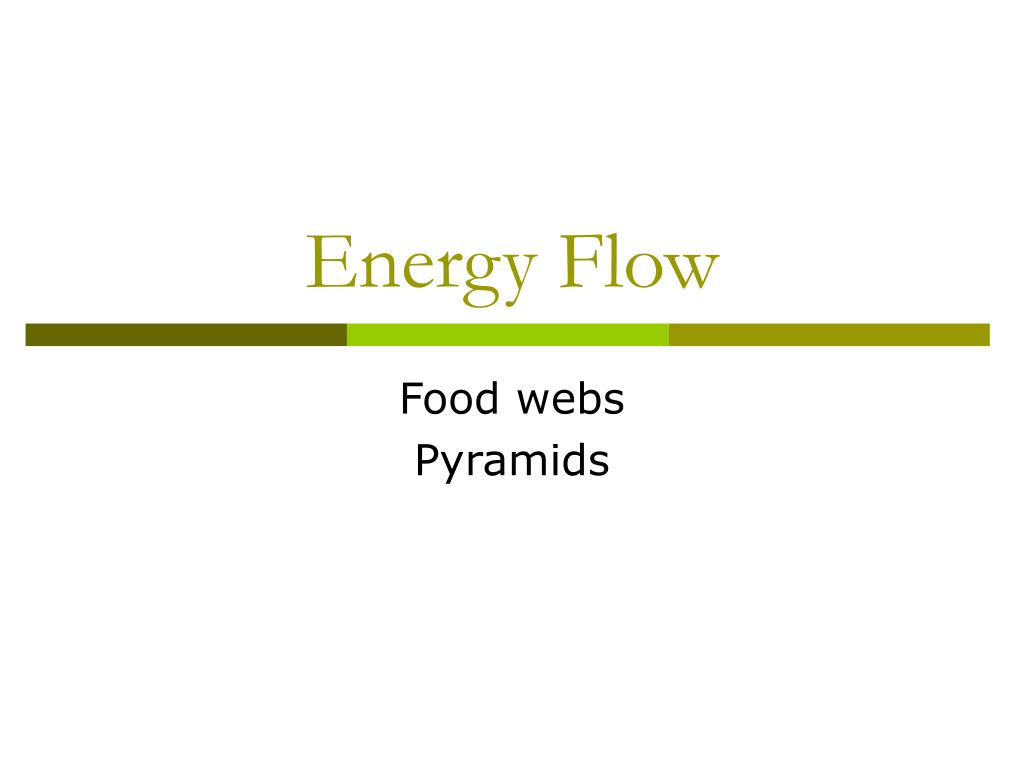 PPT - Energy Flow PowerPoint Presentation, free download - ID:4342052