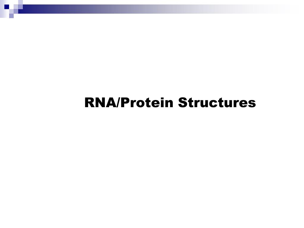 PPT - RNA/Protein Structures PowerPoint Presentation, free download ...