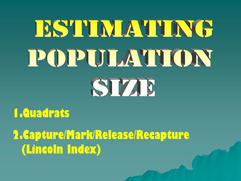 PPT - Estimating Population Size PowerPoint Presentation, free download ...