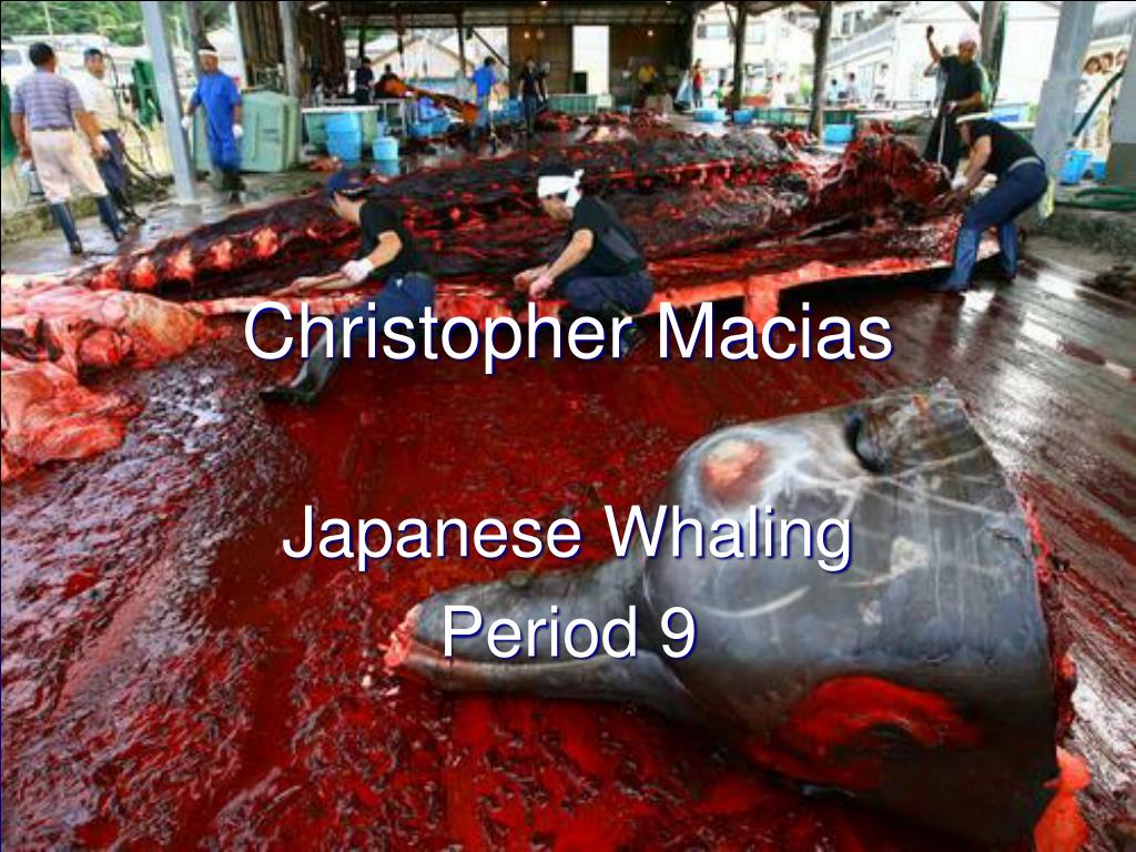 PPT - Christopher Macias PowerPoint Presentation, free download - ID ...