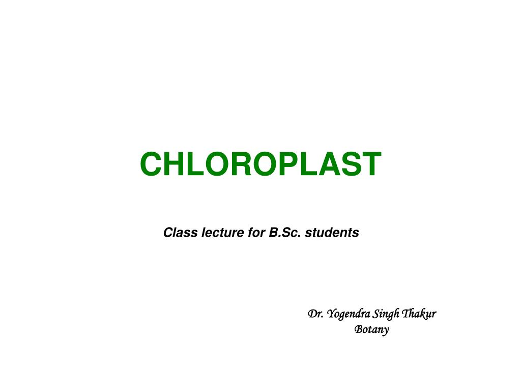 PPT - CHLOROPLAST PowerPoint Presentation, free download - ID:4346703