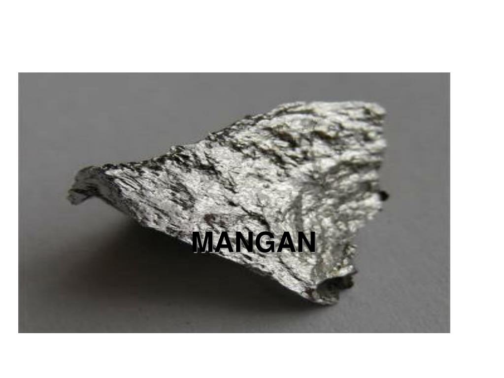 PPT - MANGAN PowerPoint Presentation, free download - ID:4349303