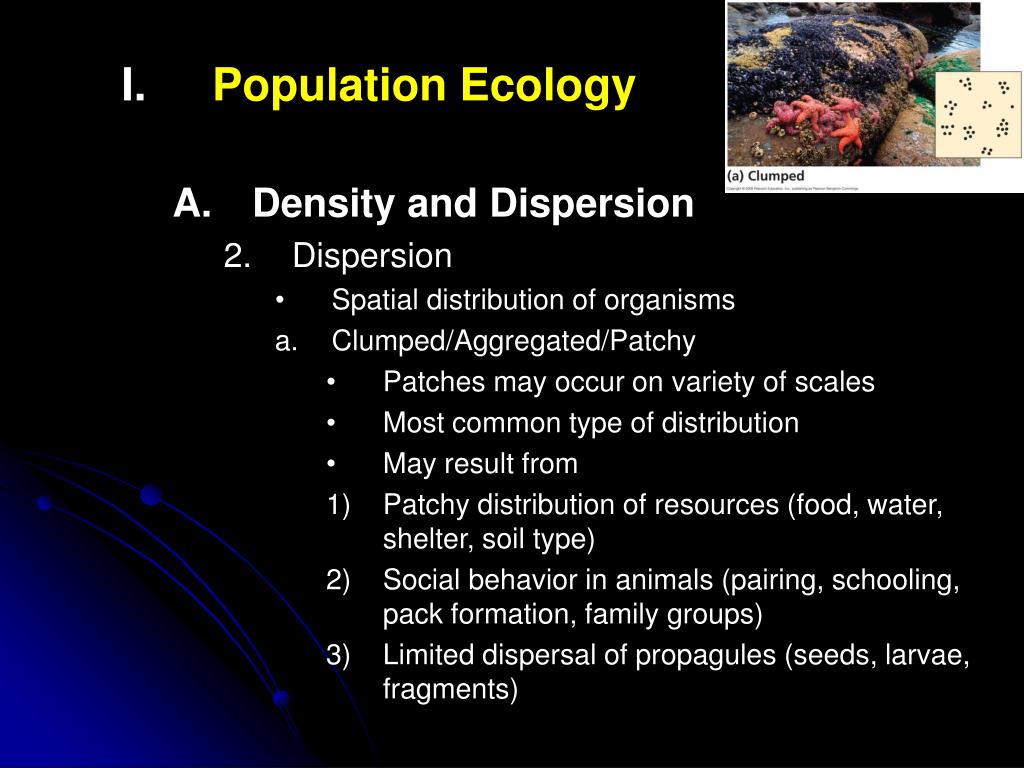 PPT - Population Ecology Density and Dispersion Dispersion Spatial ...