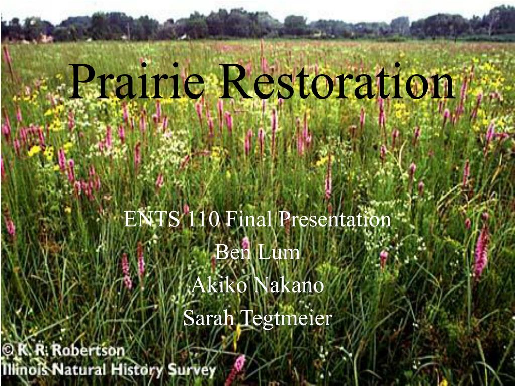 PPT - Prairie Restoration PowerPoint Presentation, free download - ID ...