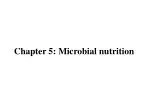 PPT - Microbial Nutrition PowerPoint Presentation, free download - ID ...