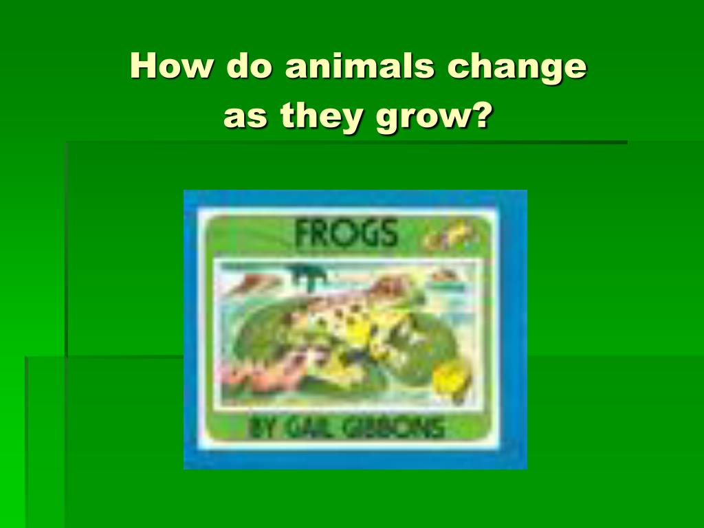 PPT - How do animals change as they grow? PowerPoint Presentation, free ...