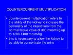 PPT - Countercurrent M echanism PowerPoint Presentation, free download ...