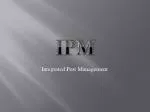 PPT - Integrated Vector Management PowerPoint Presentation, free ...
