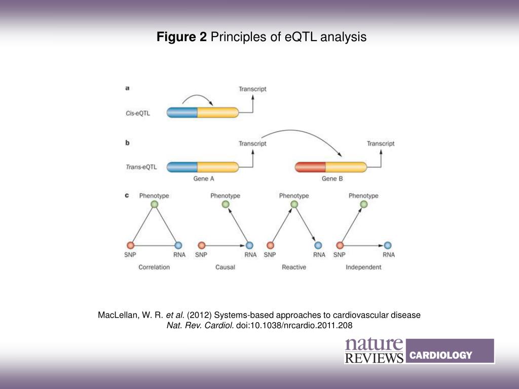 PPT - Figure 2 Principles of eQTL analysis PowerPoint Presentation ...