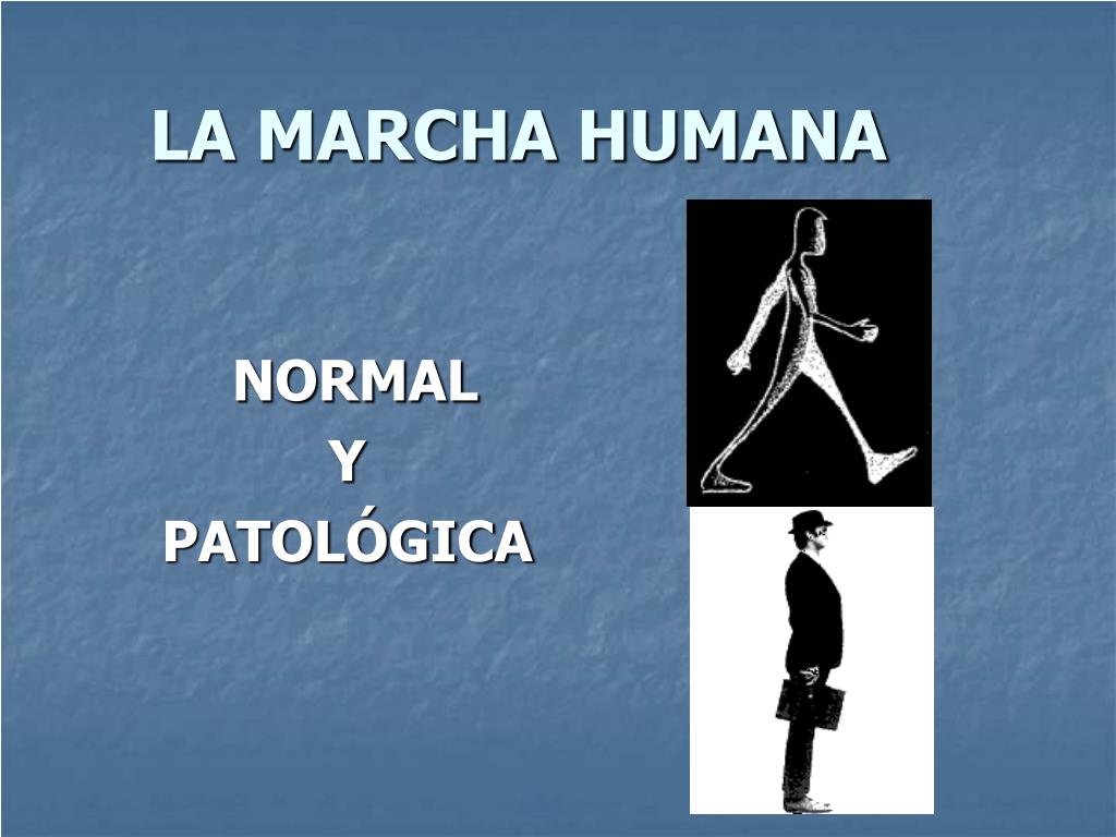 PPT - LA MARCHA HUMANA PowerPoint Presentation, free download - ID:4364689