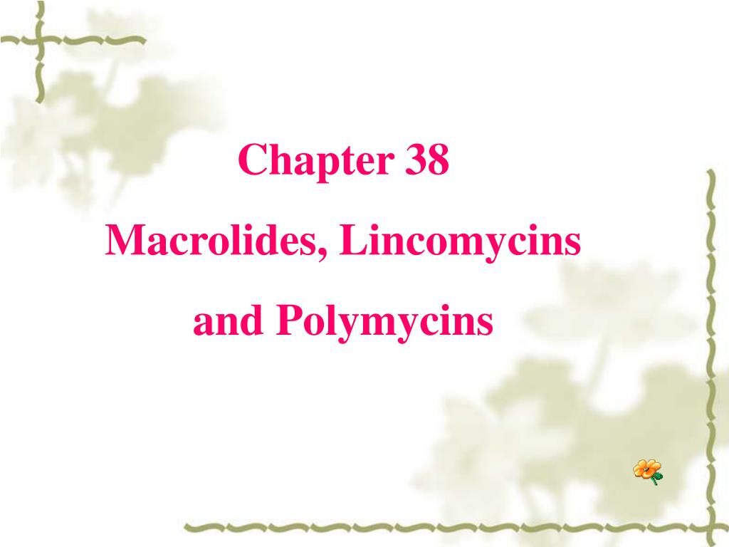 PPT - Chapter 38 Macrolides, Lincomycins and Polymycins PowerPoint Presentation - ID:4366650
