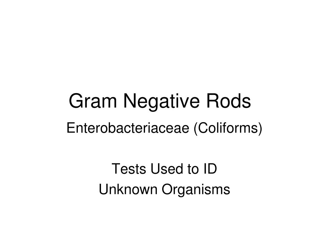 PPT - Gram Negative Rods PowerPoint Presentation, free download - ID ...