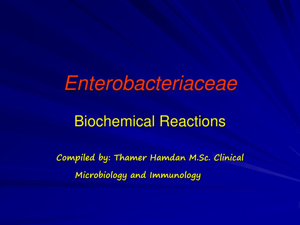 PPT - Enterobacteriaceae PowerPoint Presentation, free download - ID ...