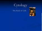 PPT - Cytology PowerPoint Presentation, free download - ID:3040744