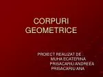 PPT - CORPURI GEOMETRICE PowerPoint Presentation, free download - ID ...