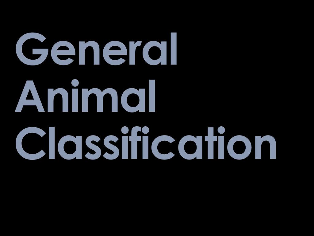 PPT - General Animal Classification PowerPoint Presentation, free ...