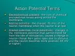 PPT - CARDIAC ACTION POTENTIAL PowerPoint Presentation, free download ...