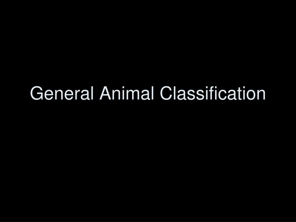 PPT - General Animal Classification PowerPoint Presentation, free ...