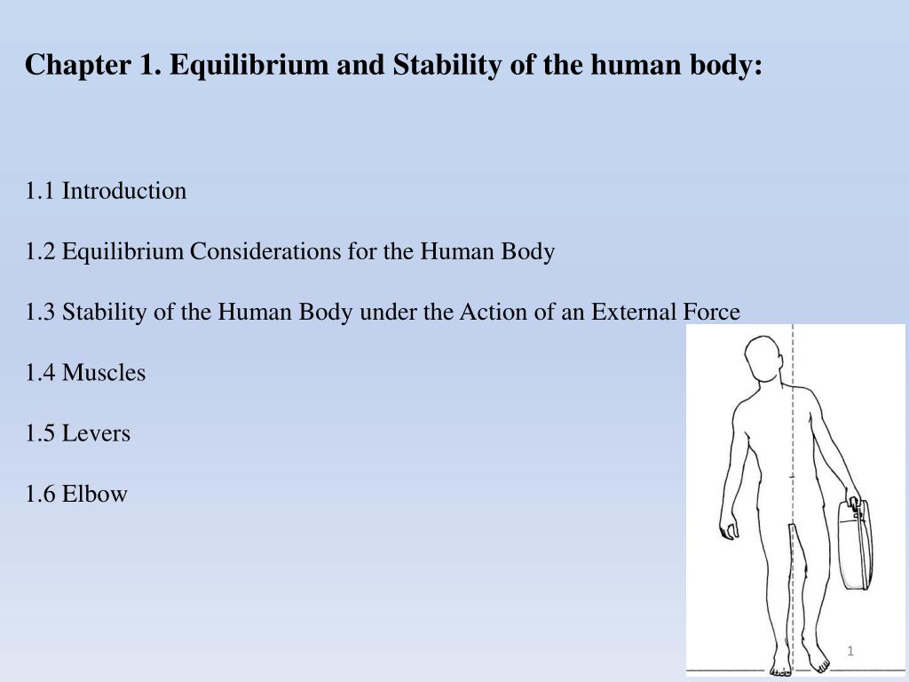 PPT - Chapter 1. Equilibrium and Stability of the human body: 1.1 ...