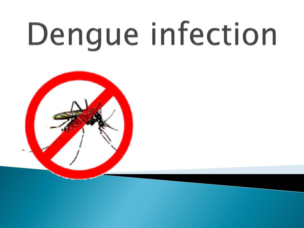 PPT - Dengue infection PowerPoint Presentation, free download - ID:4397252