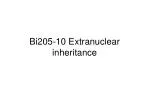 PPT - Extranuclear Inheritance PowerPoint Presentation, free download ...