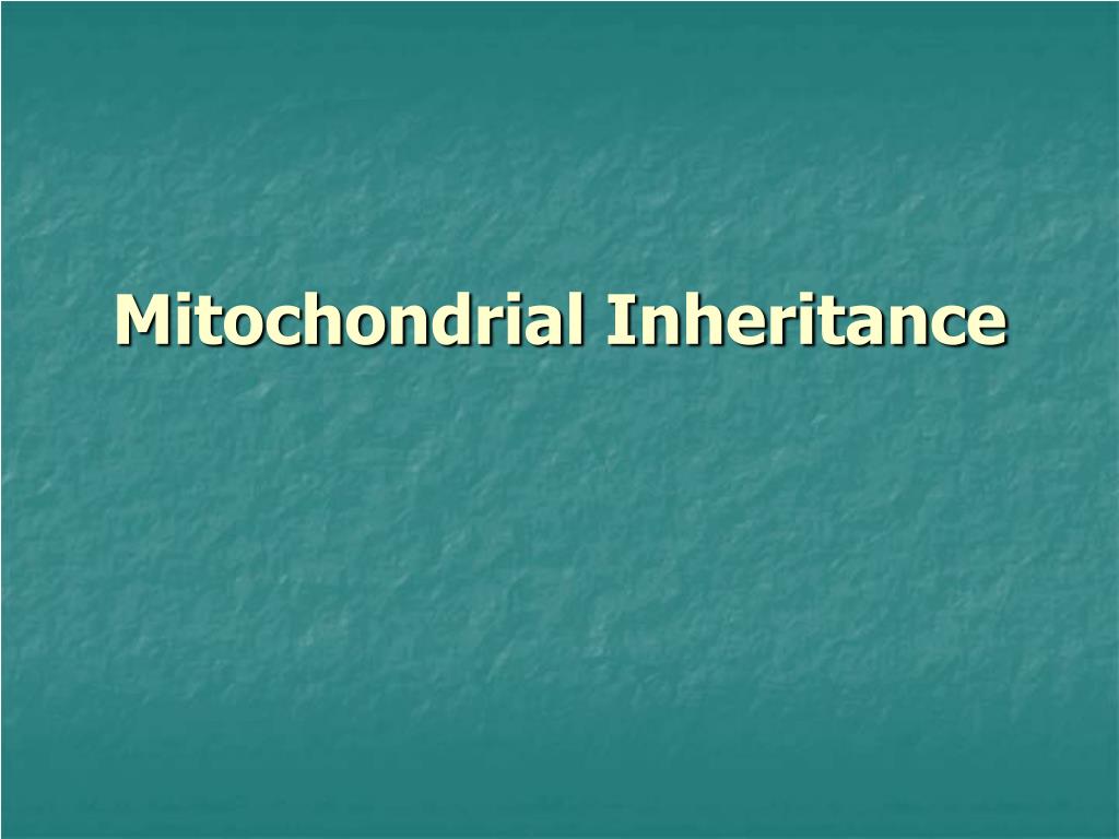 PPT - Mitochondrial Inheritance PowerPoint Presentation, free download ...