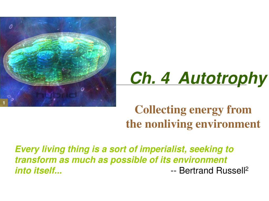 PPT - Ch. 4 Autotrophy PowerPoint Presentation, free download - ID:4406608