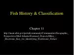PPT - Classification of Fish PowerPoint Presentation, free download ...