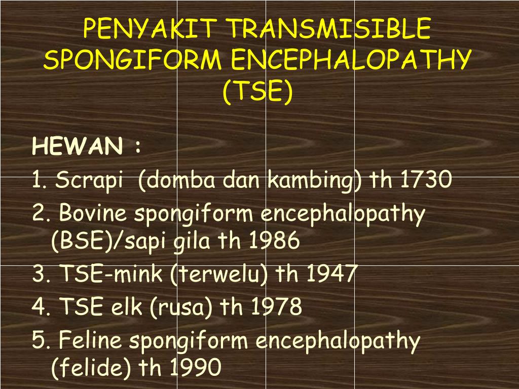 PPT - PENYAKIT TRANSMISIBLE SPONGIFORM ENCEPHALOPATHY (TSE) PowerPoint ...