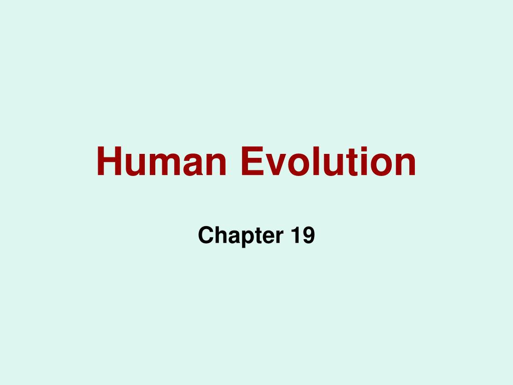 PPT - Human Evolution PowerPoint Presentation, free download - ID:4417130