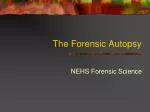 PPT - The Autopsy PowerPoint Presentation, free download - ID:799535