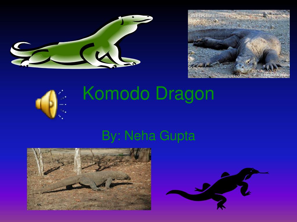 PPT - Komodo Dragon PowerPoint Presentation, free download - ID:4421424