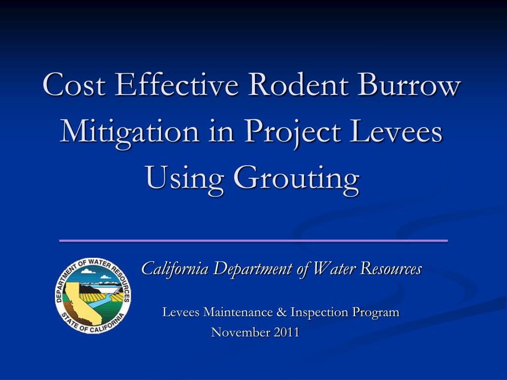 PPT - Cost Effective Rodent Burrow Mitigation in Project Levees Using ...
