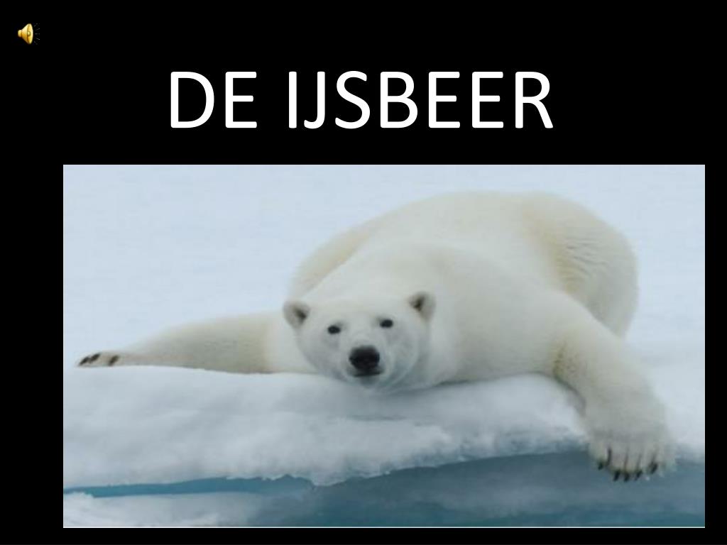 PPT - DE IJSBEER PowerPoint Presentation, free download - ID:4425617