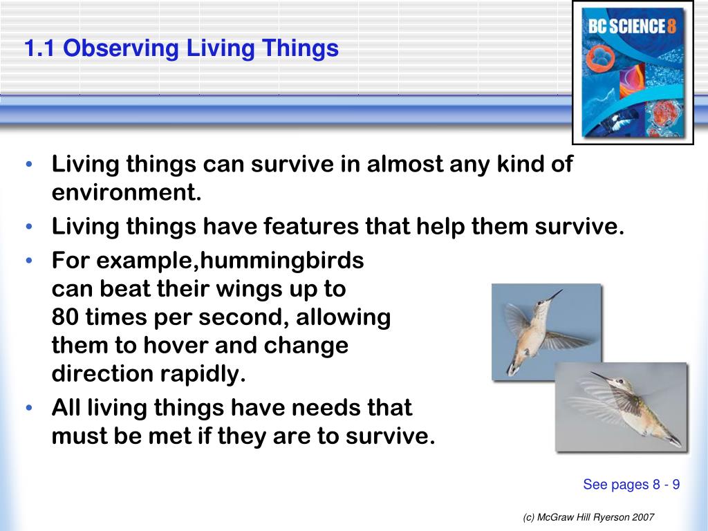 PPT - 1.1 Observing Living Things PowerPoint Presentation, free ...