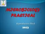 PPT - MICROBIOLOGY Practical Class PowerPoint Presentation, free ...
