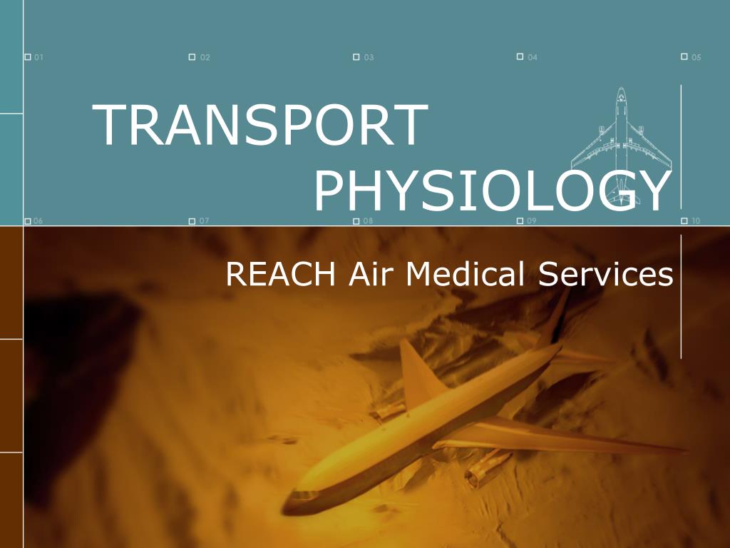 PPT - TRANSPORT PHYSIOLOGY PowerPoint Presentation, free download - ID ...