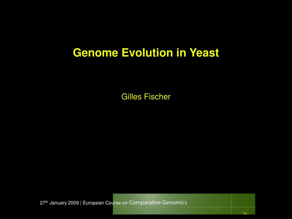 PPT - Genome Evolution in Yeast PowerPoint Presentation, free download ...