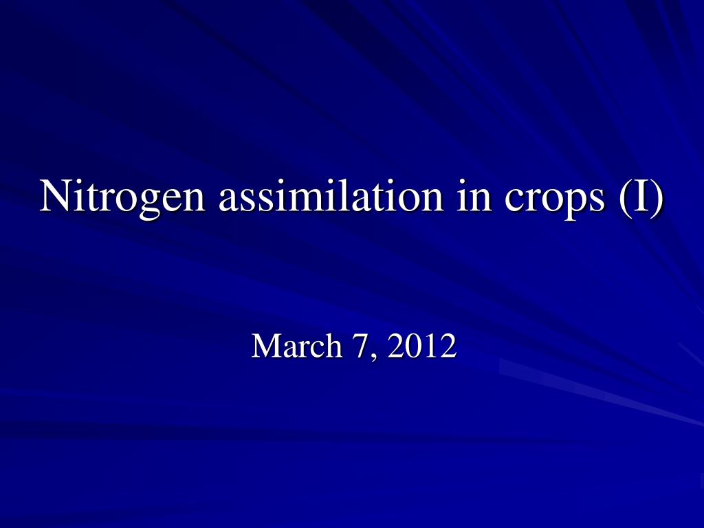 PPT - Nitrogen assimilation in crops (I) PowerPoint Presentation, free ...