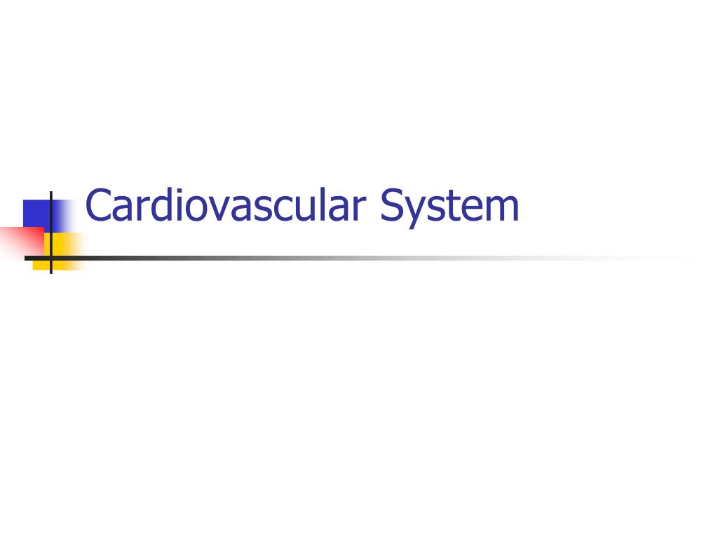 PPT - Cardiovascular System PowerPoint Presentation, free download - ID ...