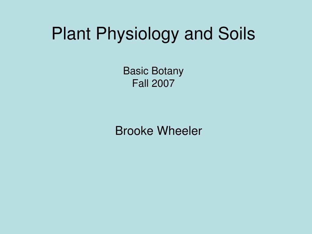 PPT - Plant Physiology and Soils Basic Botany Fall 2007 PowerPoint ...