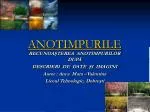 PPT - ANOTIMPURILE PowerPoint Presentation, free download - ID:4470210