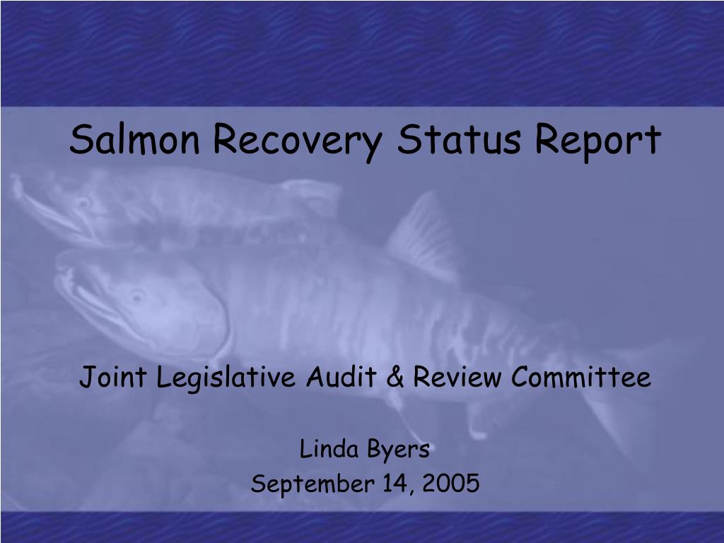 PPT - Salmon Recovery Status Report PowerPoint Presentation, free ...