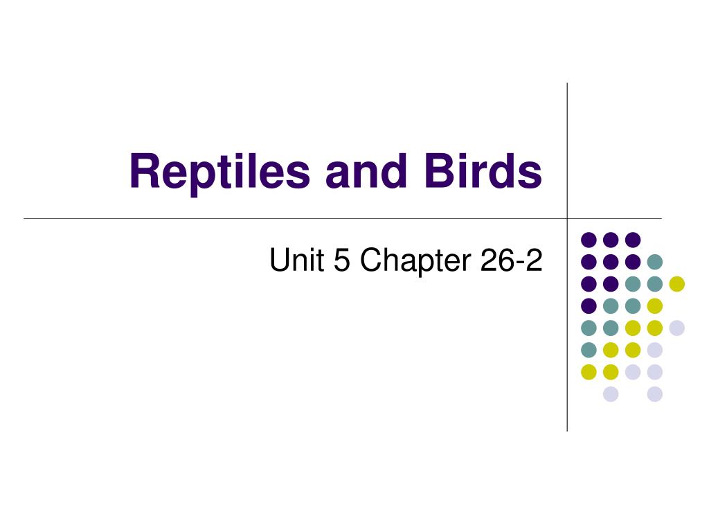 PPT - Reptiles and Birds PowerPoint Presentation, free download - ID ...